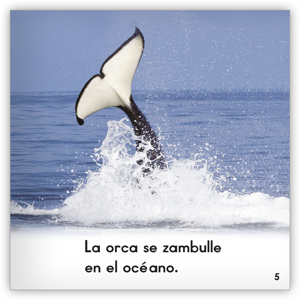 La orca - Zoozoo Mundo Animal - Hameray Publishing
