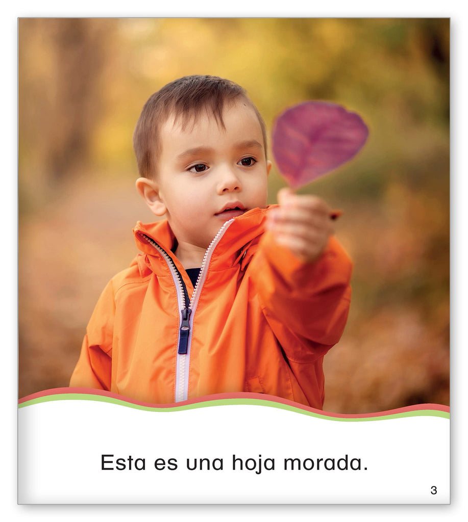 Las hojas del otoño - Lecturitas - Hameray Publishing