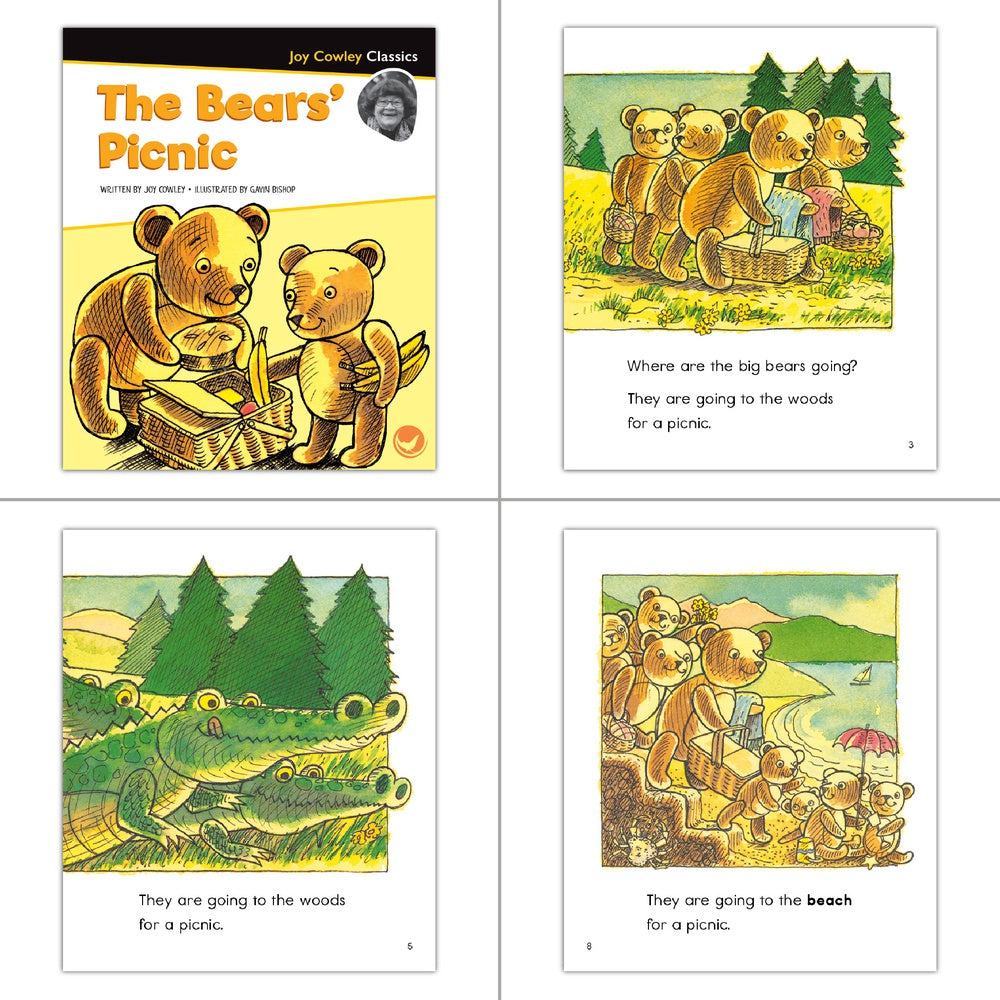 Level C Dual Language Set (6-Packs) - Hameray Publishing