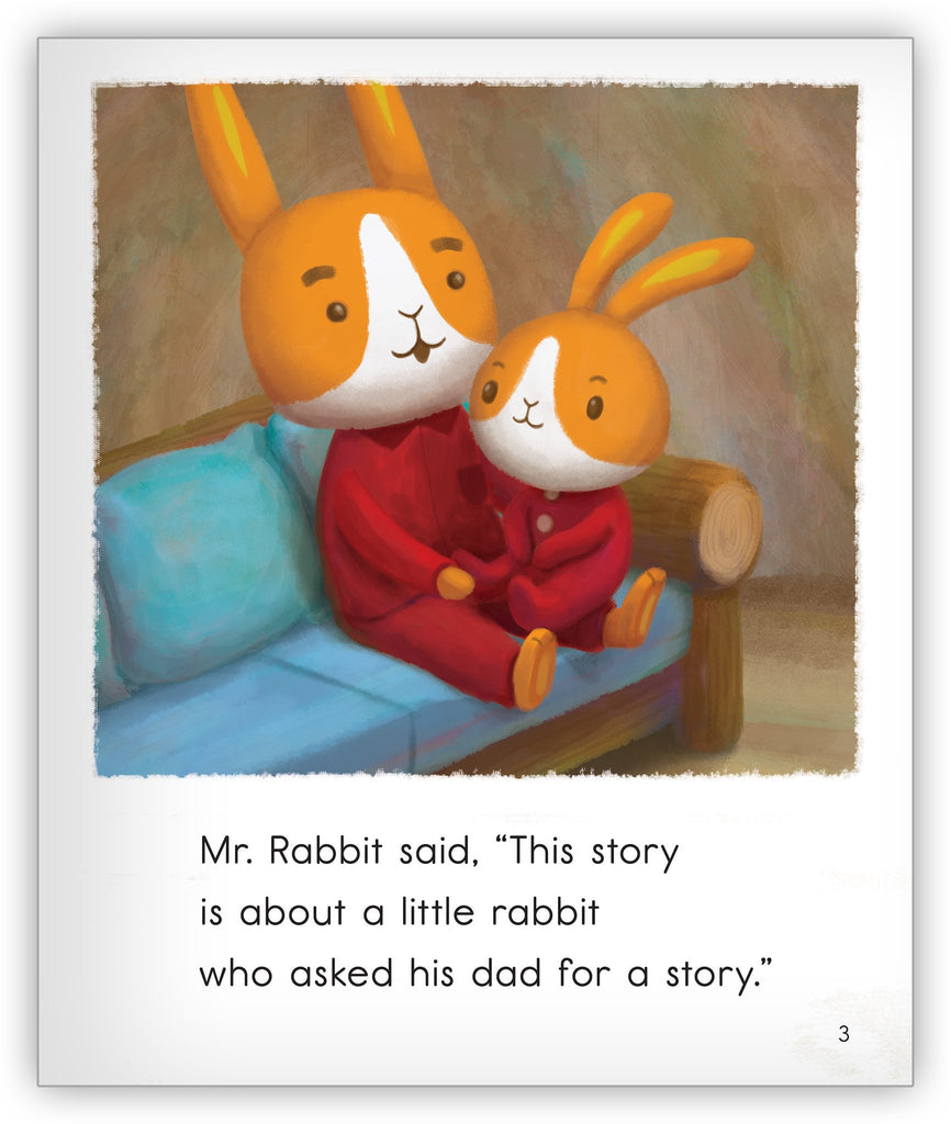 Little Rabbit's Story - Joy Cowley Early Birds - Hameray Publishing