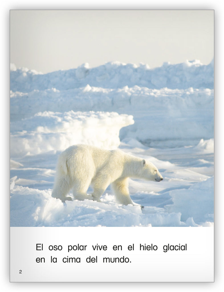 Los osos polares - Colección Caleidoscopio - Hameray Publishing