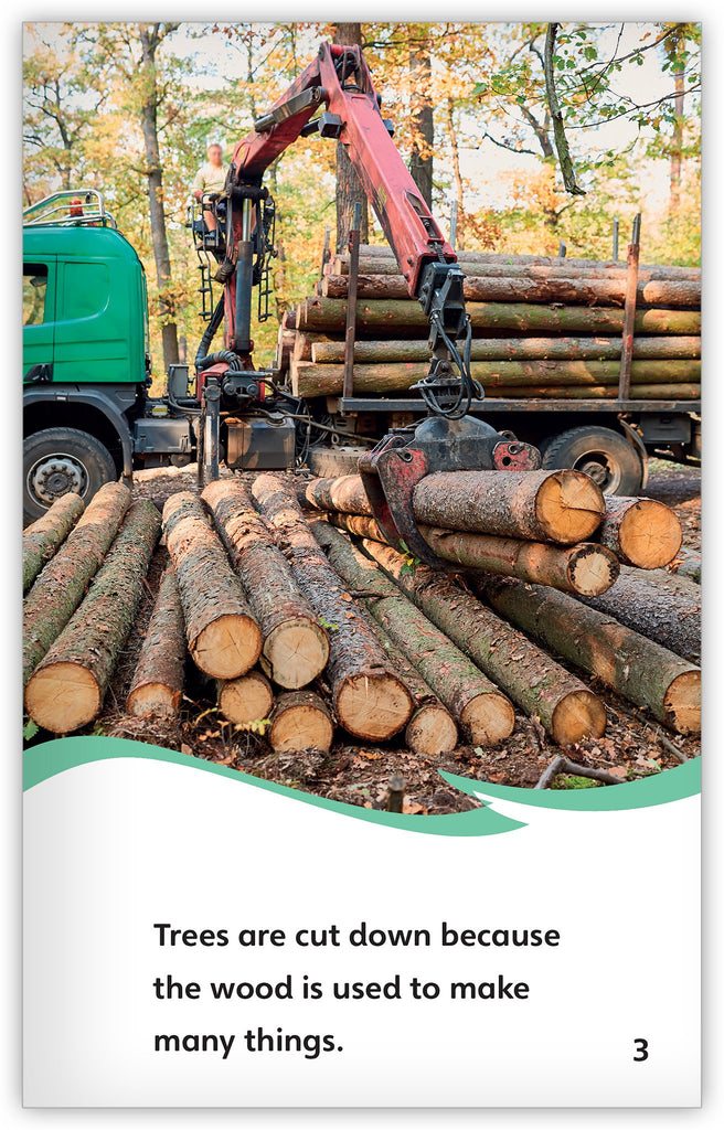 Lumberjacks and Loggers - Fables & the Real World - Hameray Publishing