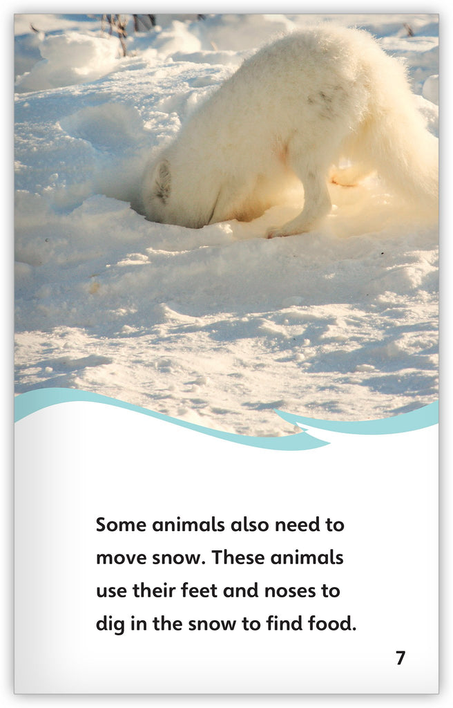 People and Animals in Winter - Fables & the Real World - Hameray Publishing