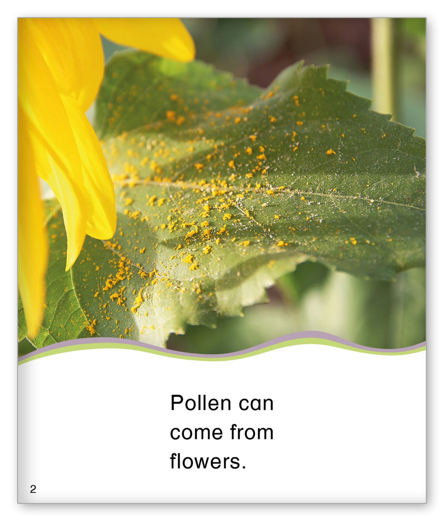 Pollen - Kid Lit - Hameray Publishing