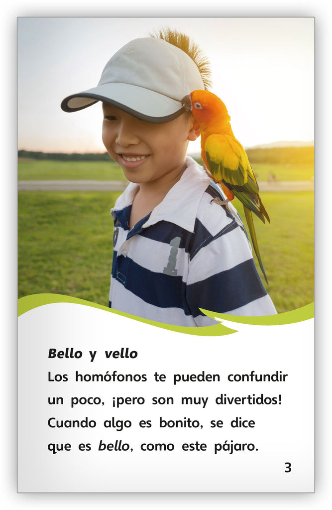 ¿Puede ser bello el vello? Palabras que suenan igual - Fábulas y el ...