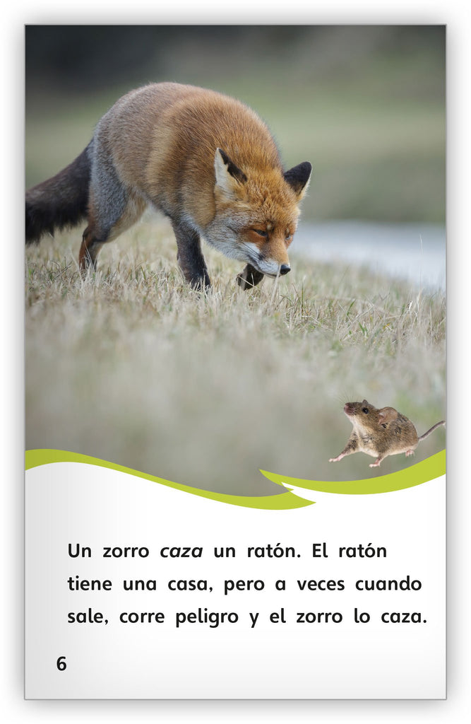 ¿Puede ser bello el vello? Palabras que suenan igual - Fábulas y el ...