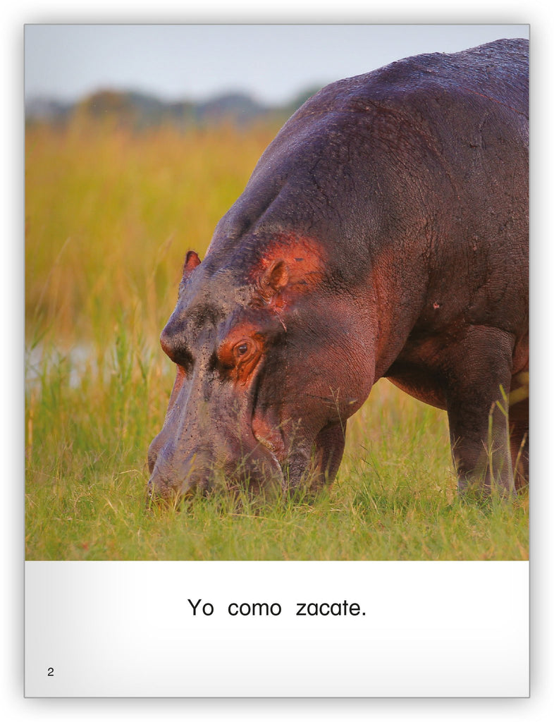 ¿Qué comen? Big Book - Hameray Publishing