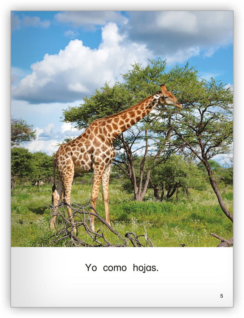 ¿Qué comen? Big Book - Hameray Publishing