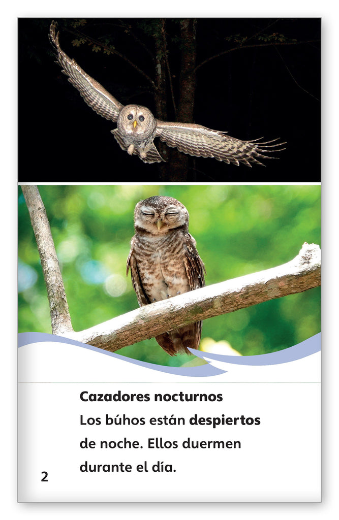 ¿Qué comen los búhos? - Fábulas y el Mundo Real - Hameray Publishing