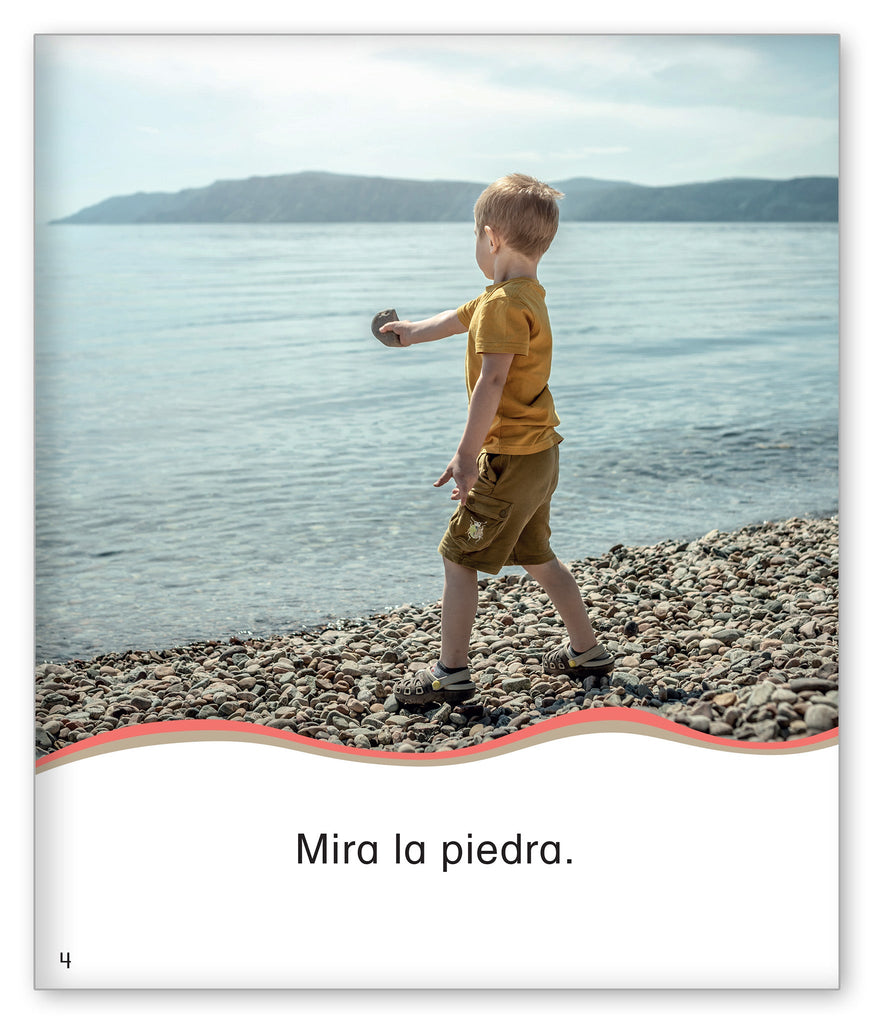 ¡Saltar, brincar, salpicar! - Lecturitas - Hameray Publishing