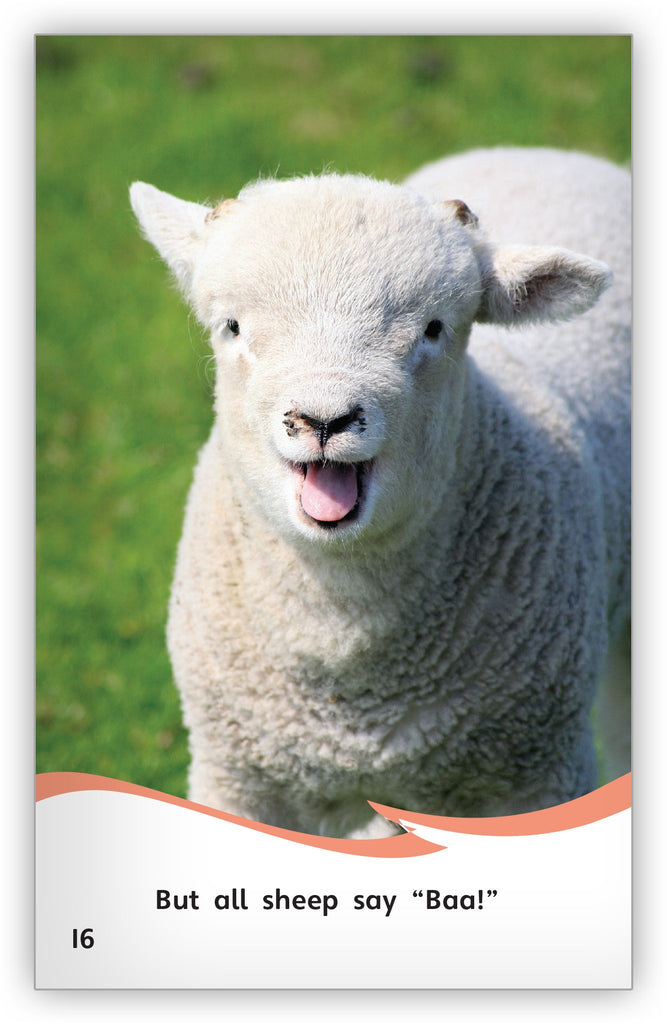 Sheep - Fables & the Real World - Hameray Publishing