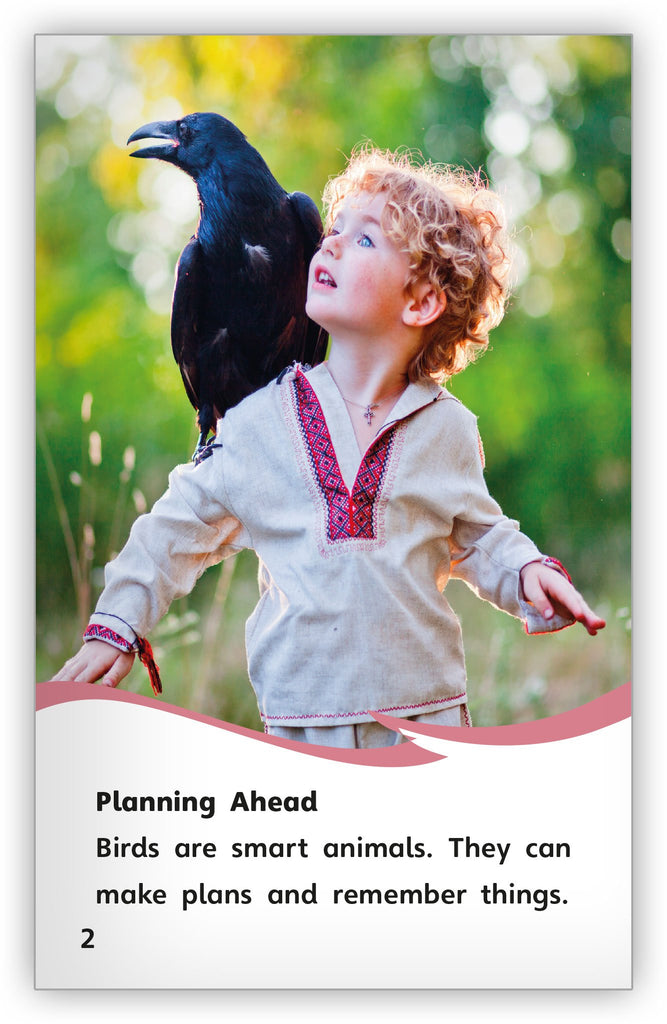 Smart Birds, Amazing Birds - Fables & the Real World - Hameray Publishing
