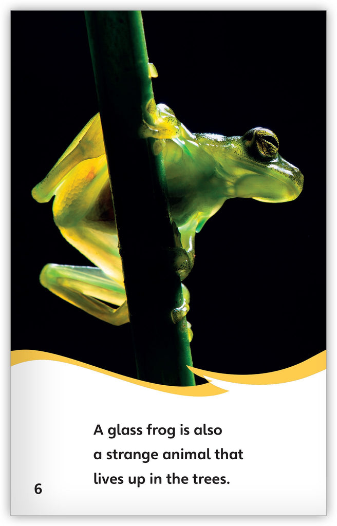 Strange Animals All Around - Fables & the Real World - Hameray Publishing