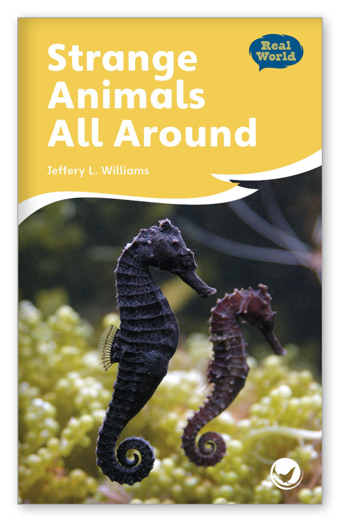 Unknown Animals Of The World 10 Weird Animals From Around The World