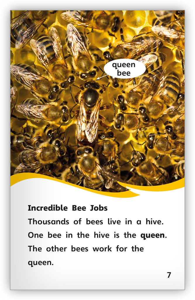 The Incredible Bee - Fables & the Real World - Hameray Publishing