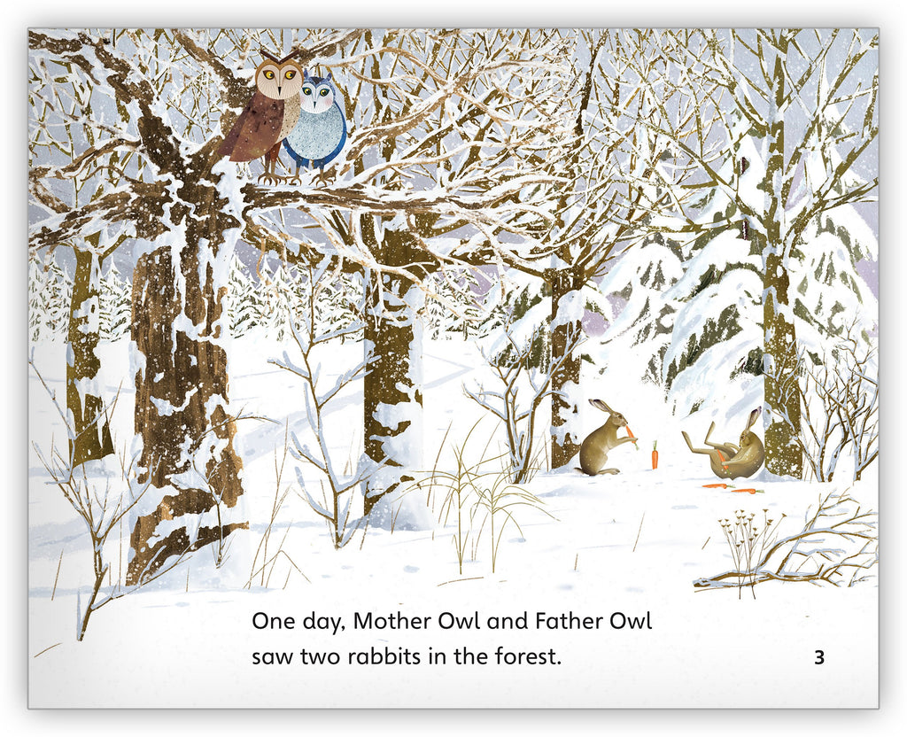 The Owl and the Rabbits - Fables & the Real World - Hameray Publishing