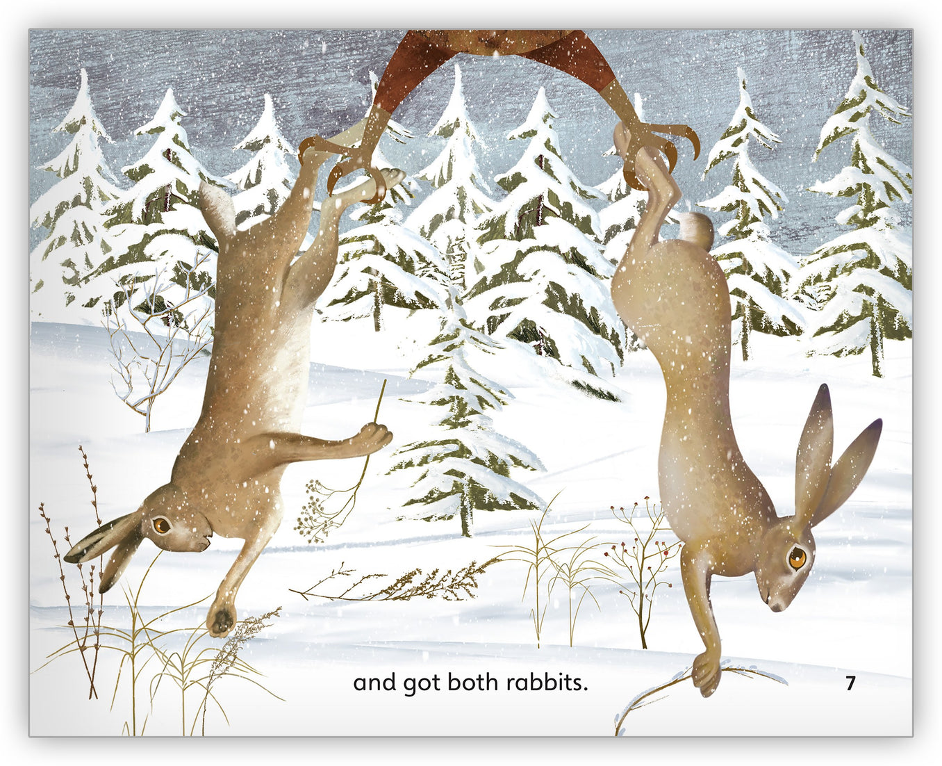 The Owl and the Rabbits - Fables & the Real World - Hameray Publishing