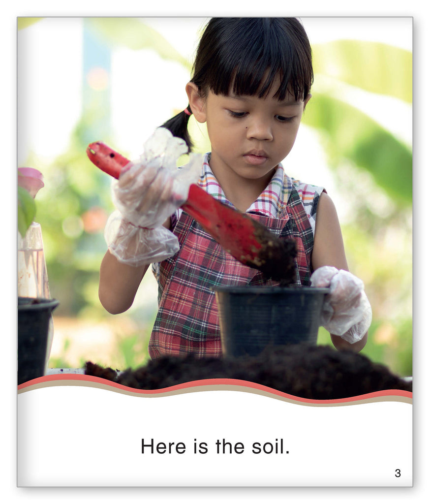 The Plant in a Pot - Kid Lit - Hameray Publishing
