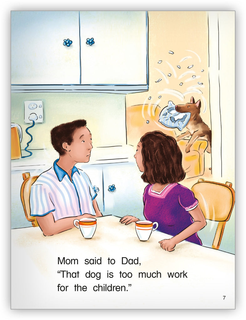 Too Much Work! - Kaleidoscope Collection - Hameray Publishing