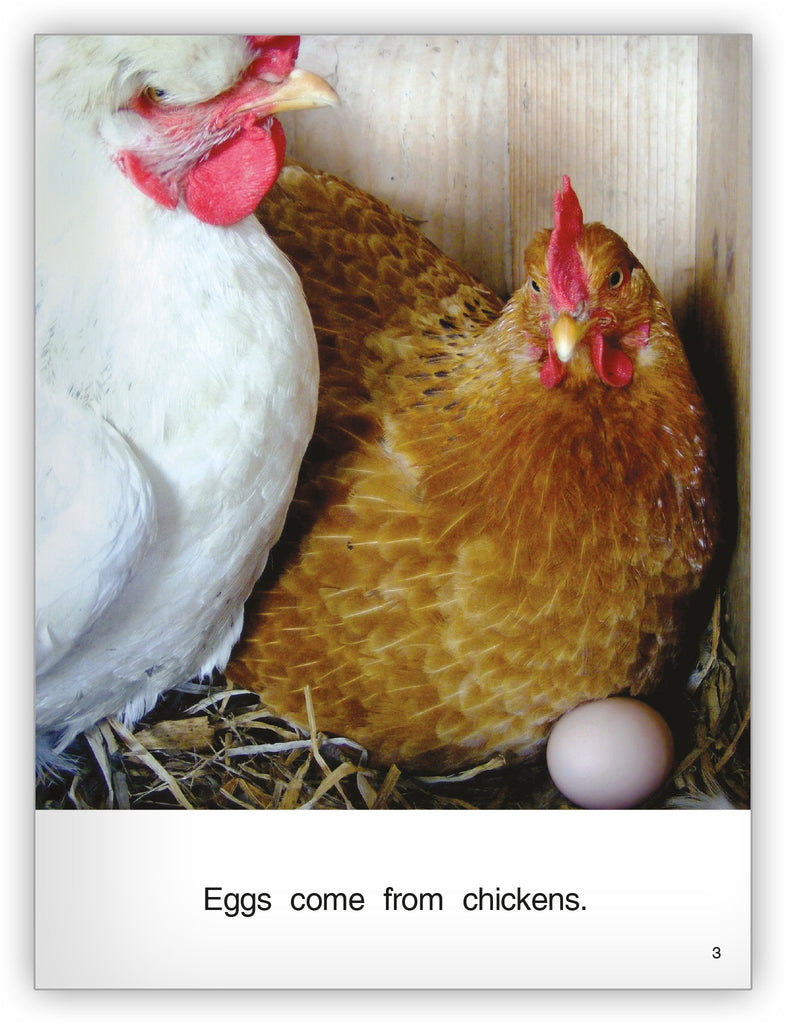 Where Does It Come From? Big Book - Hameray Publishing