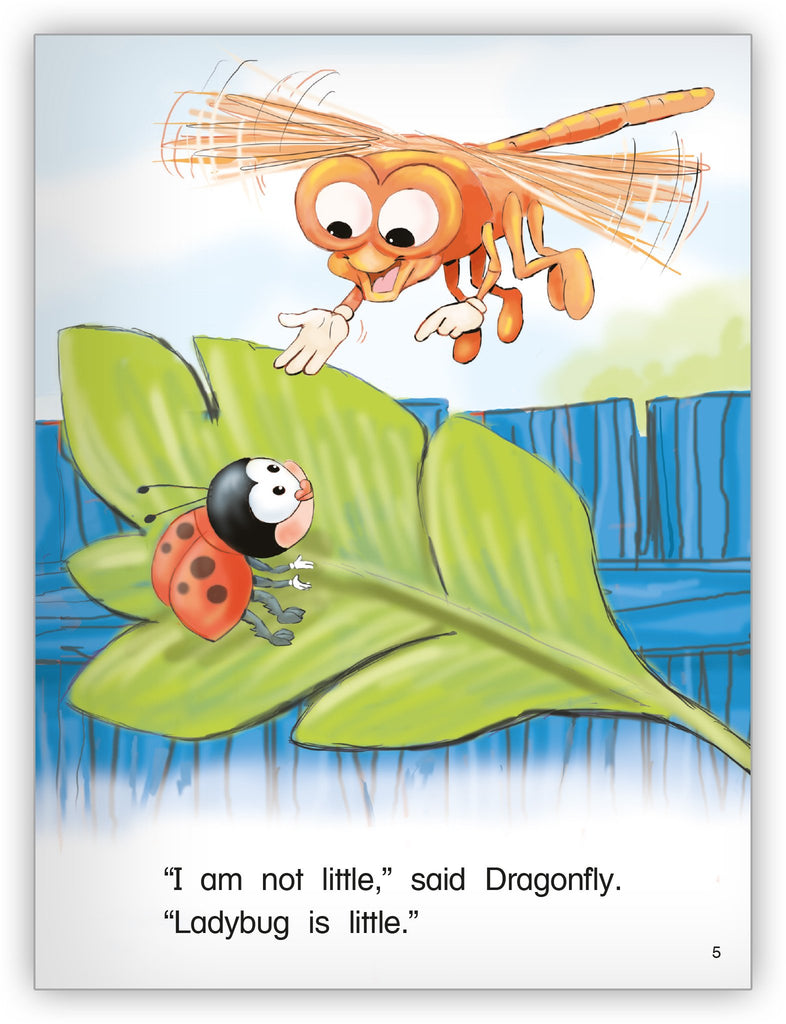 Who Is Little? Big Book - Kaleidoscope Collection - Hameray Publishing