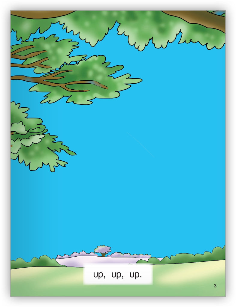Zip the Squirrel Big Book - Kaleidoscope Collection - Hameray Publishing